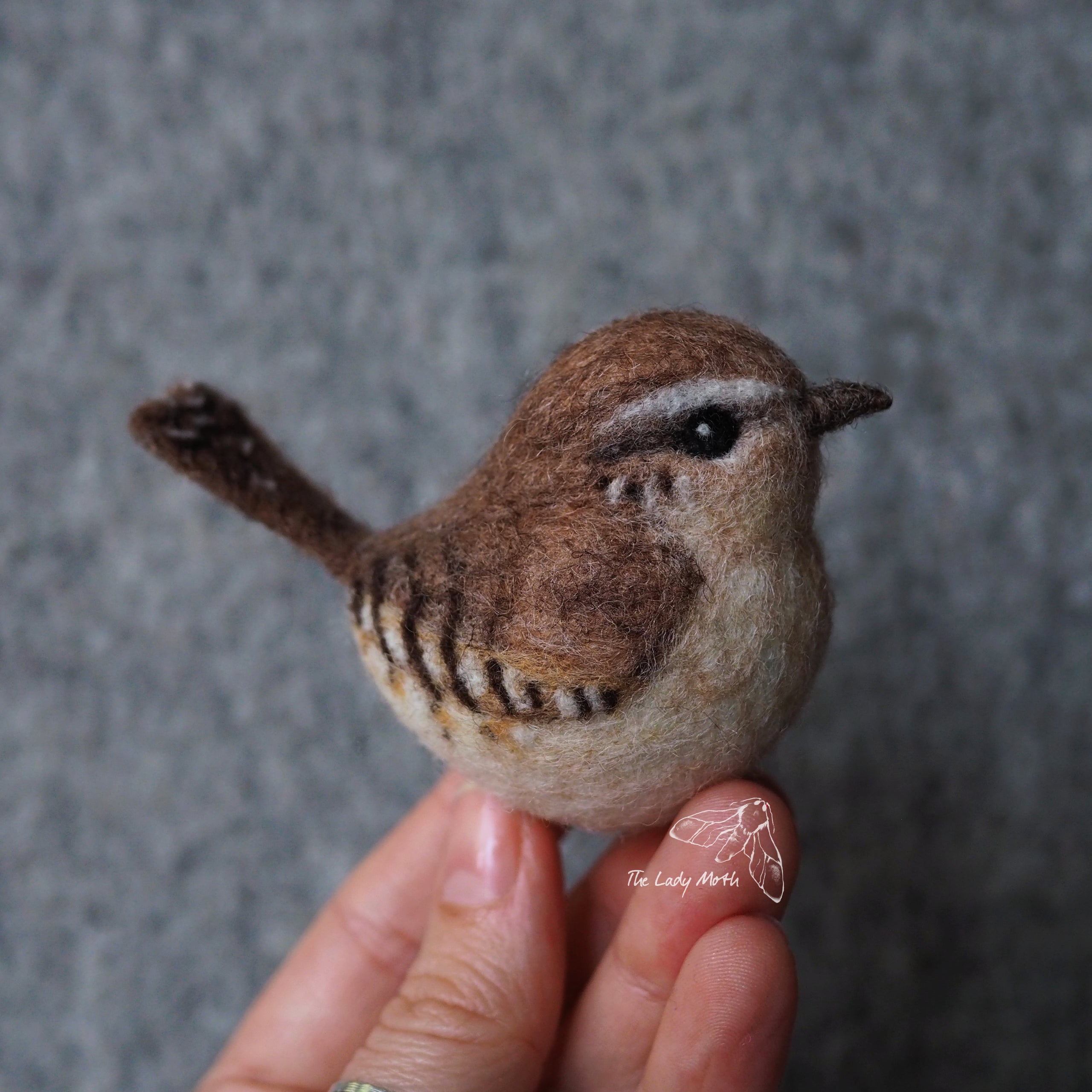 Wren * online workshop 20th Aug 2023, 2pm BST | The Lady Moth